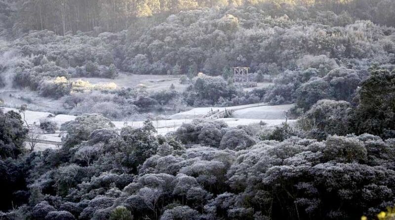 Clima: Geada Negra não está descartada na região | Ivan Maldonado Online